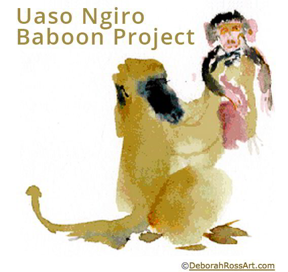 Partners in Conservation - African Conservation Centre US