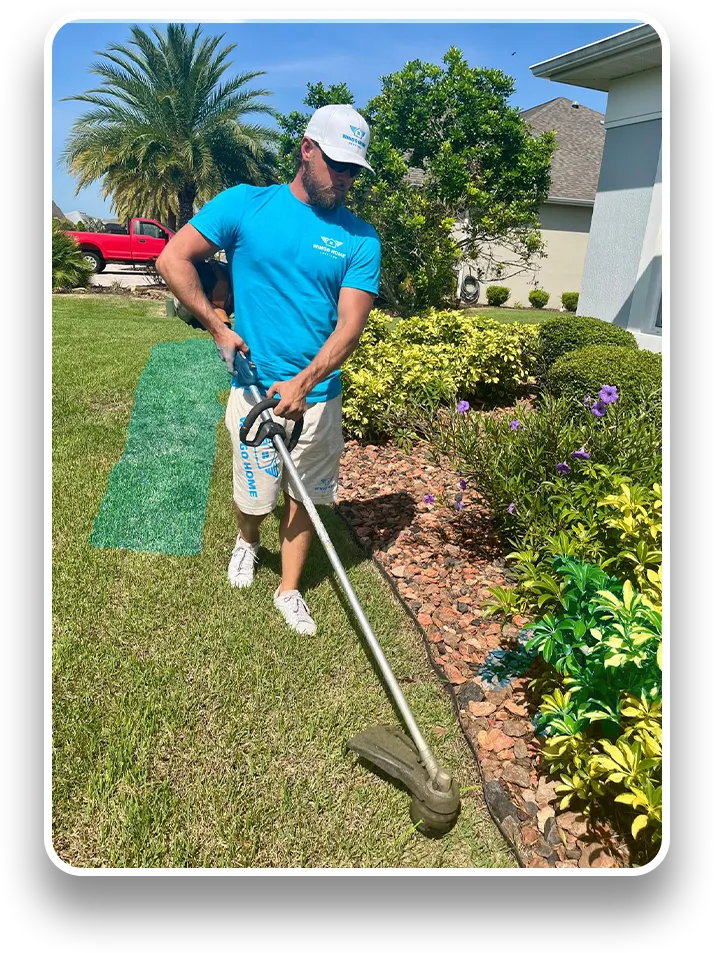 Wingo Home Services