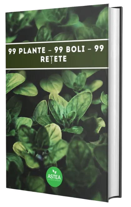 FORMULĂ PE BAZĂ DE PLANTE – CAPSULE PENTRU PLĂMÂNI ȘI BRONHII CURAȚI