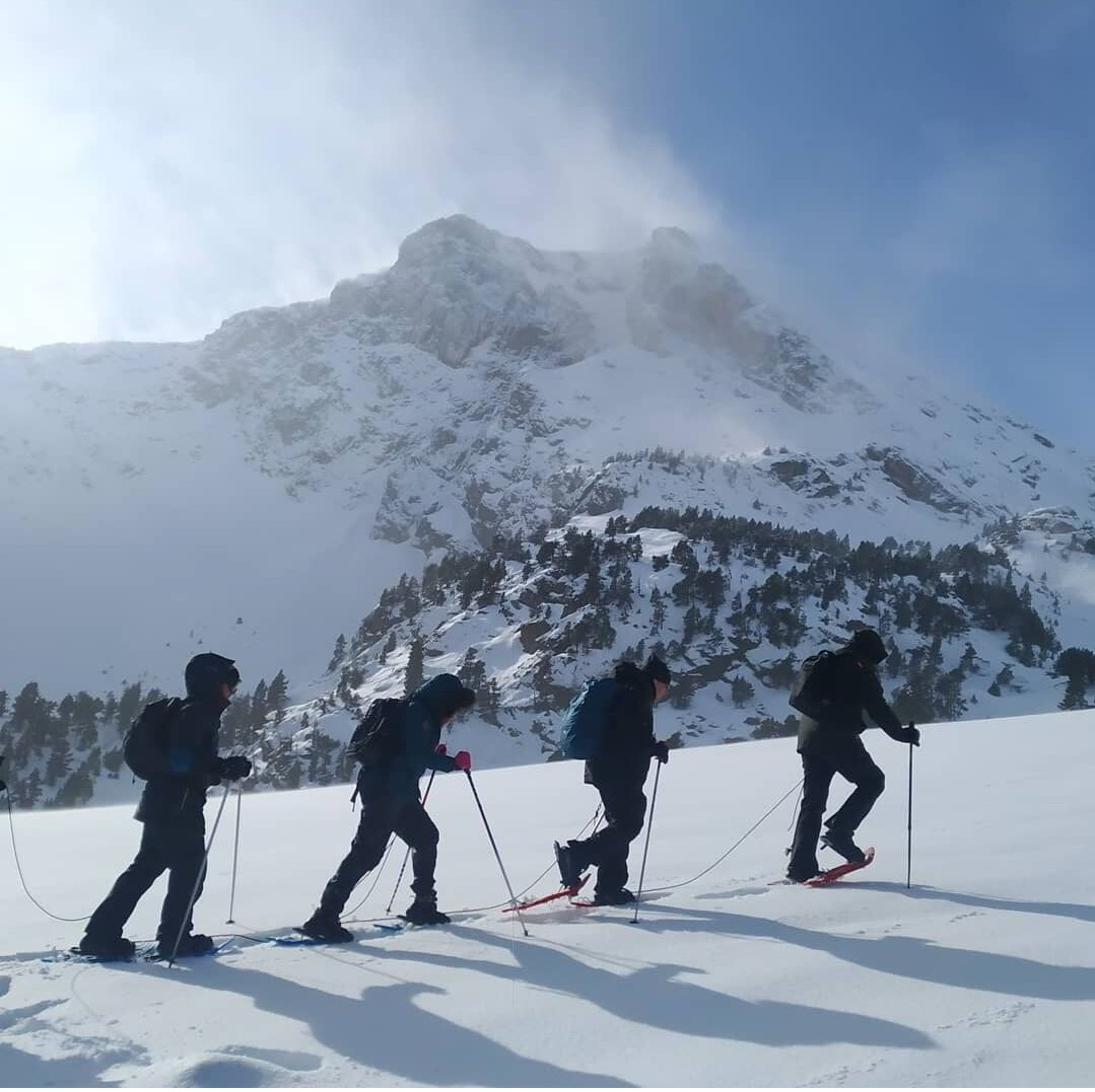 Excursió raquetes de neu