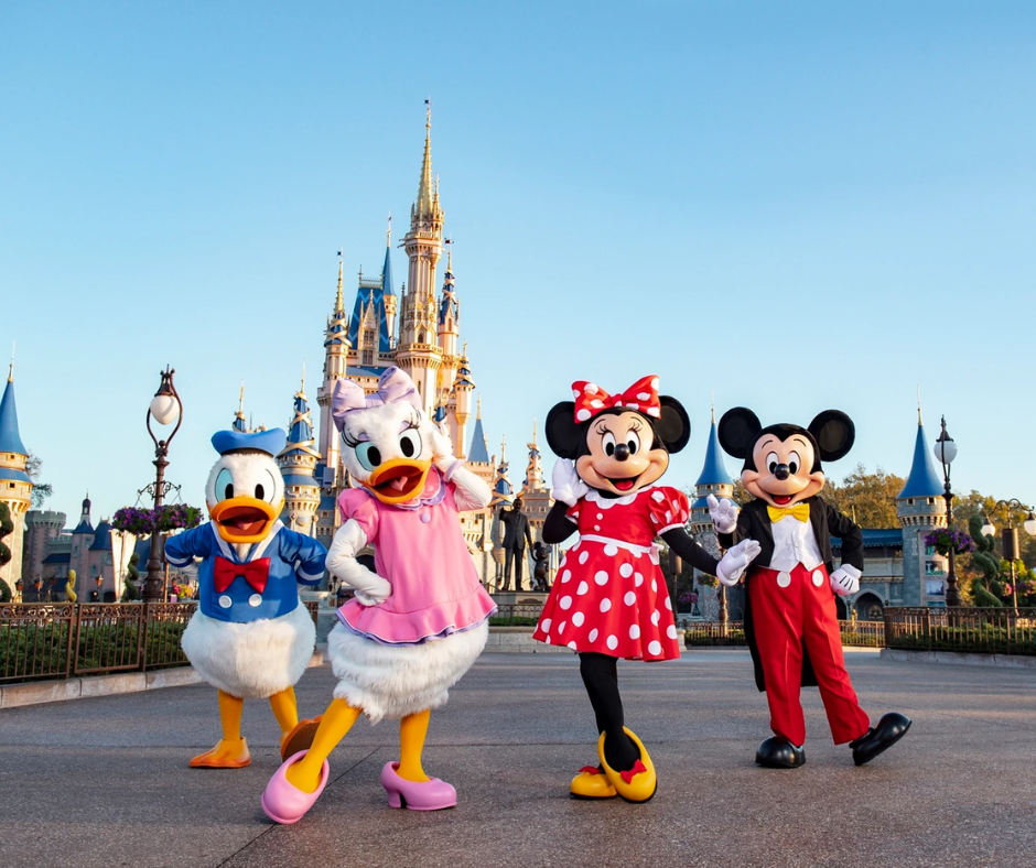 DISNEY QUINCE