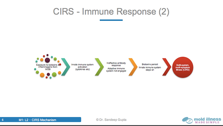 Mold toxicity could be causing your insomnia