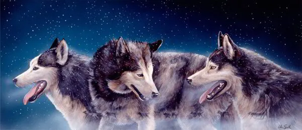 Gallery | The Art Of Alan Snell | Art gallery | Helena, MT