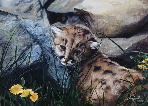 Gallery | The Art Of Alan Snell | Art gallery | Helena, MT