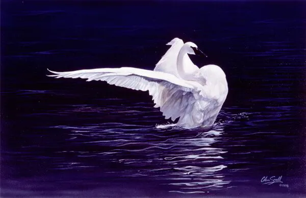 Gallery | The Art Of Alan Snell | Art gallery | Helena, MT