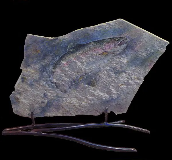 Gallery | The Art Of Alan Snell | Art gallery | Helena, MT