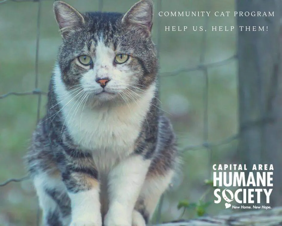 Community Cats Program