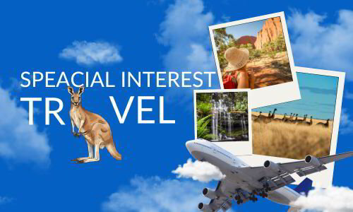 The Rise of Niche Tourism: Why Special Interest Travel Is the Fastest ...