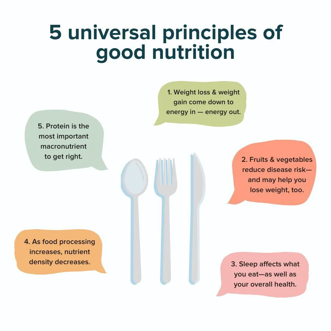 How to Become a Nutrition Coach: A Step-by-Step Guide to Success