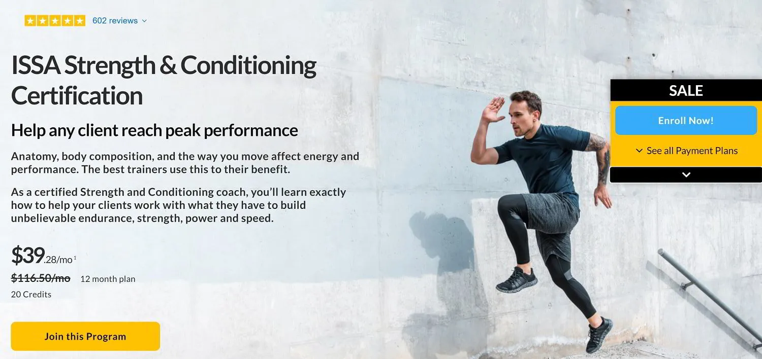 The 20 Best CPD Courses for Personal Trainers