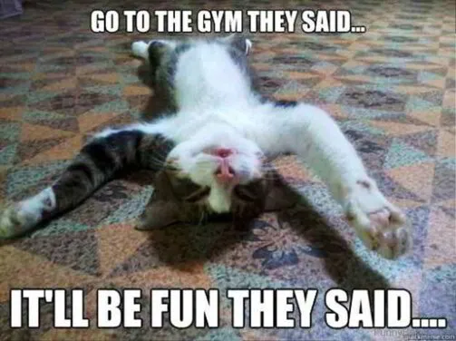 100 Of The Best Fitness Memes For Personal Trainers to Share With Clients