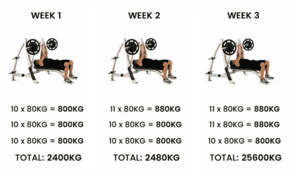 Exercise Programming Templates