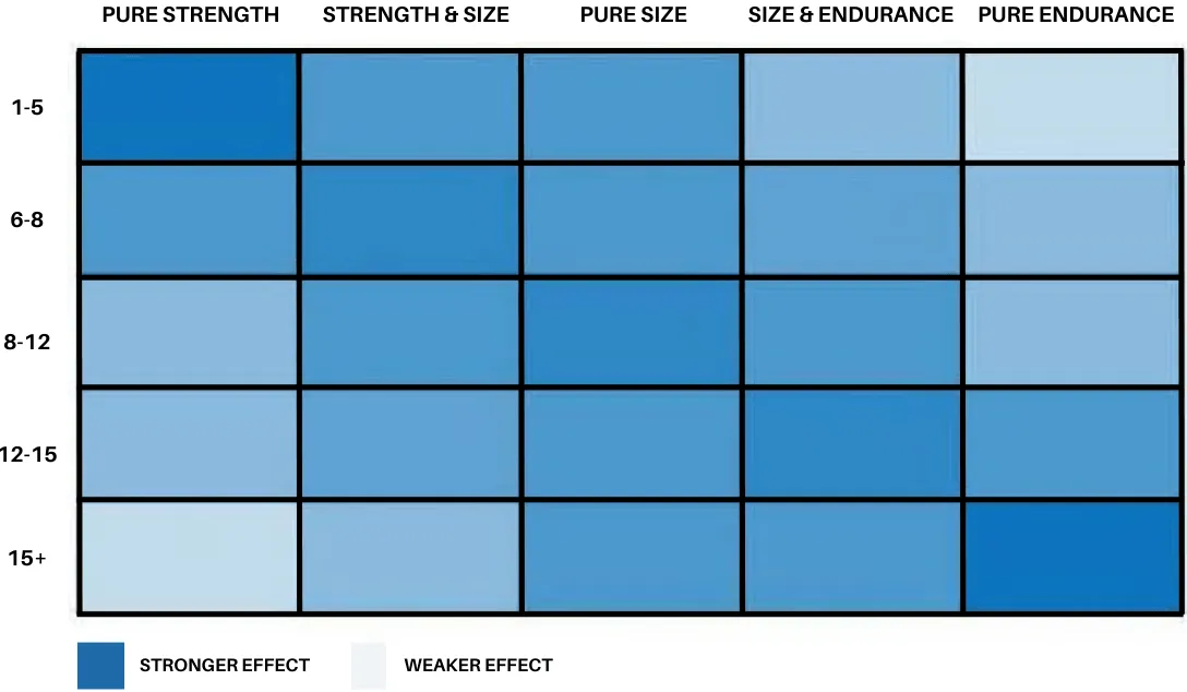 Exercise Programming Templates