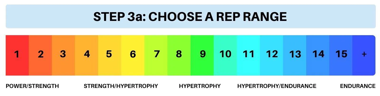 Personal Training Programming: Designing Beginner Workouts