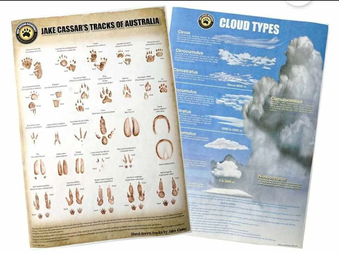 Tracks and Cloud Charts