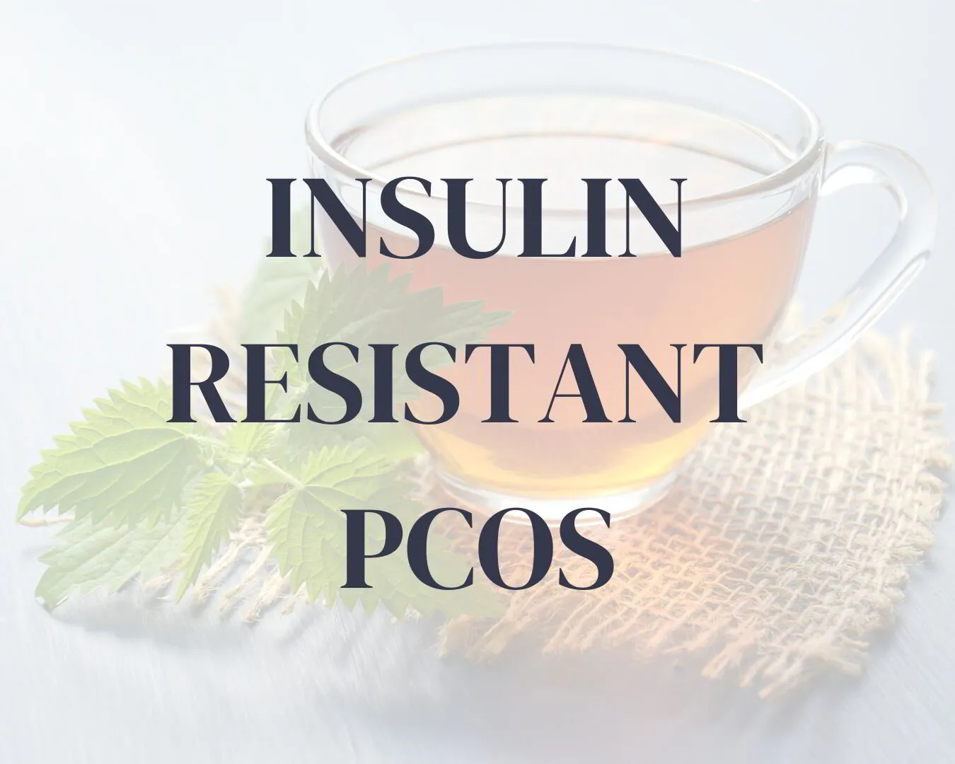 Understanding Insulin-Resistant PCOS: Root Causes, Lab Clues, and ...