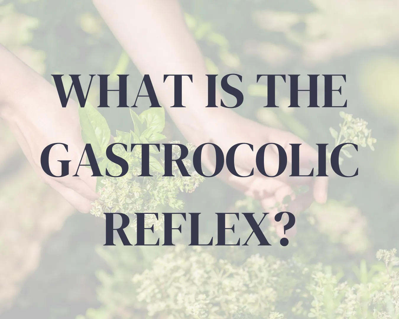 overactive gastrocolic reflex