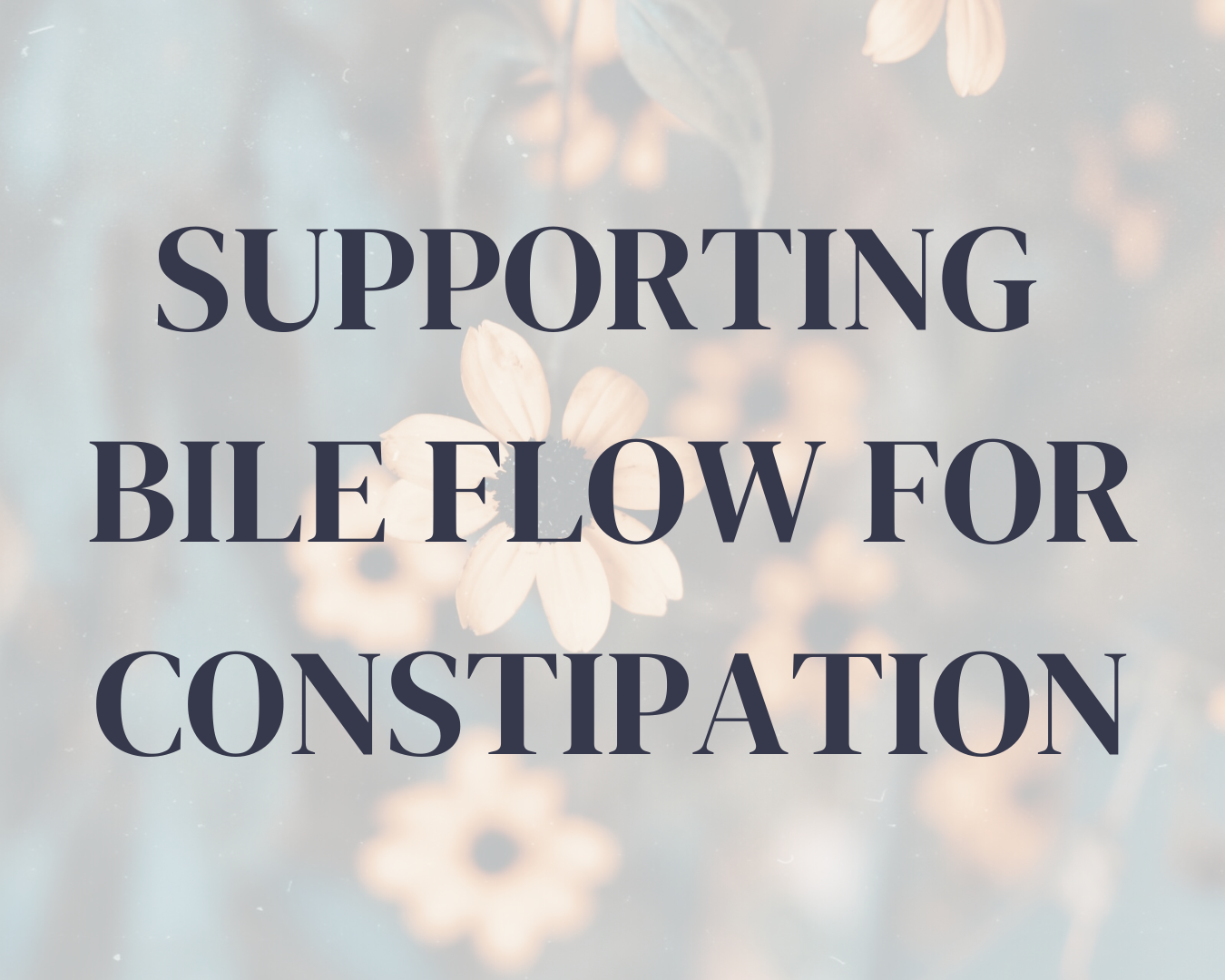 Supporting Bile Flow for Constipation