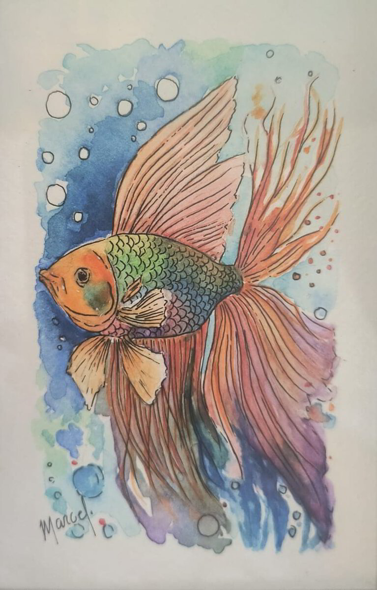 Gold Fish Colores por Marcela Carranza | Arte latinoamericano ...