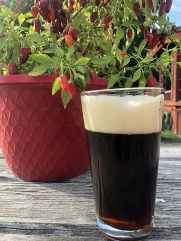 Behind the Scenes at Cold Springs Brewery, Northumberland, Ontario