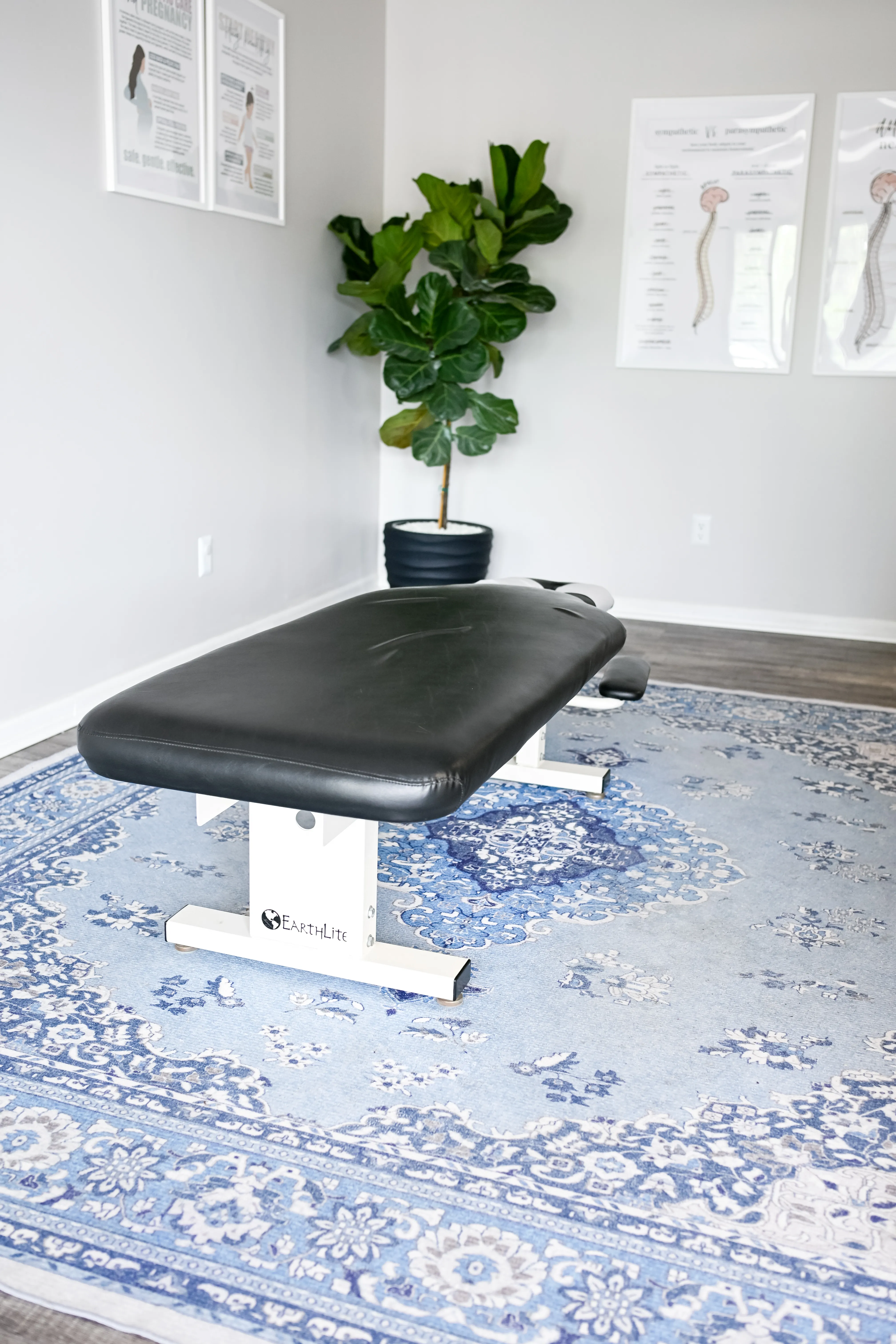 About Dolan Chiropractic | Meet Dr. Chelsea Dolan in Gladstone, MO