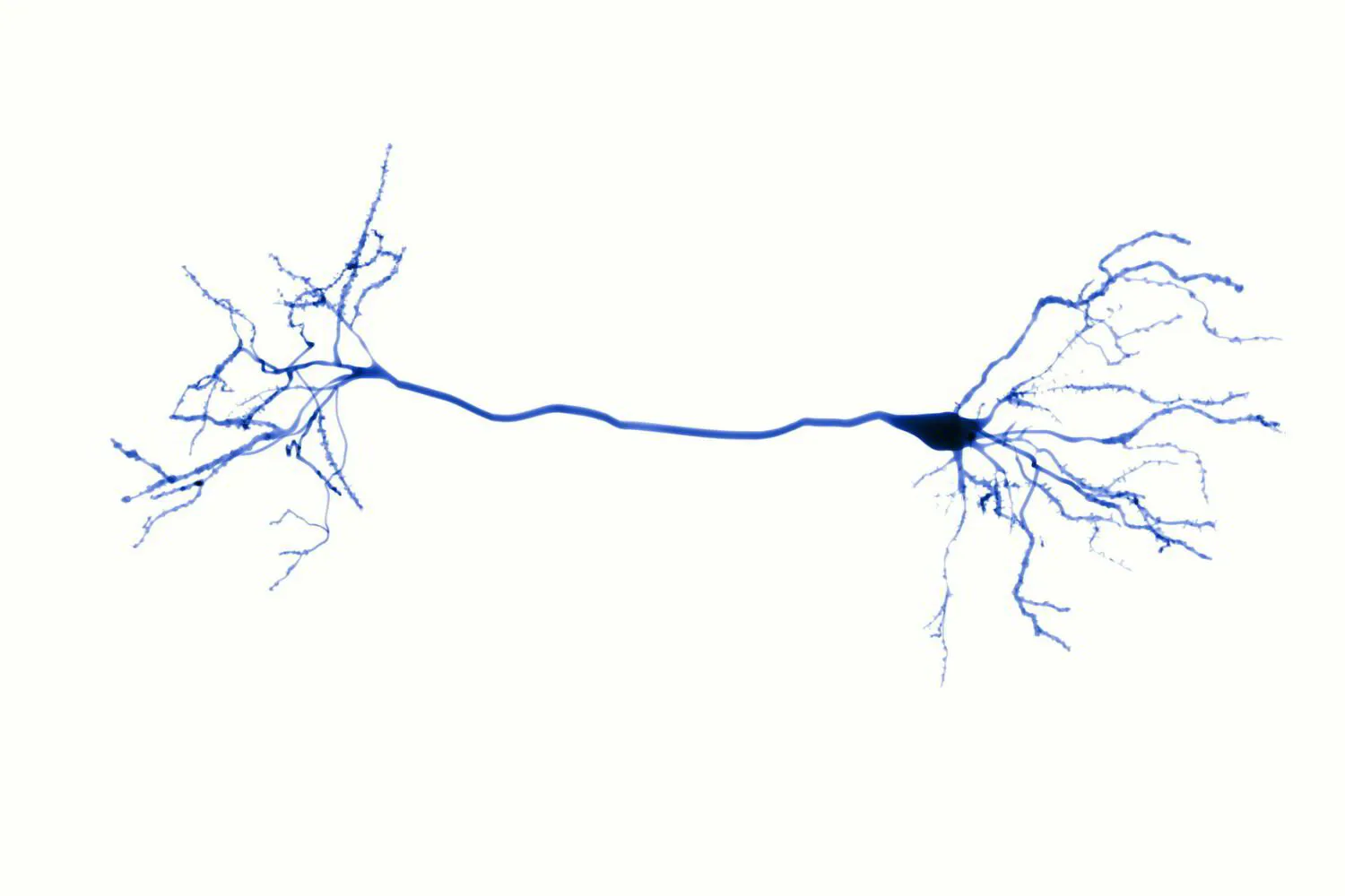 Vagusnerv stimulieren: 5 einfache Übungen für innere Ruhe
