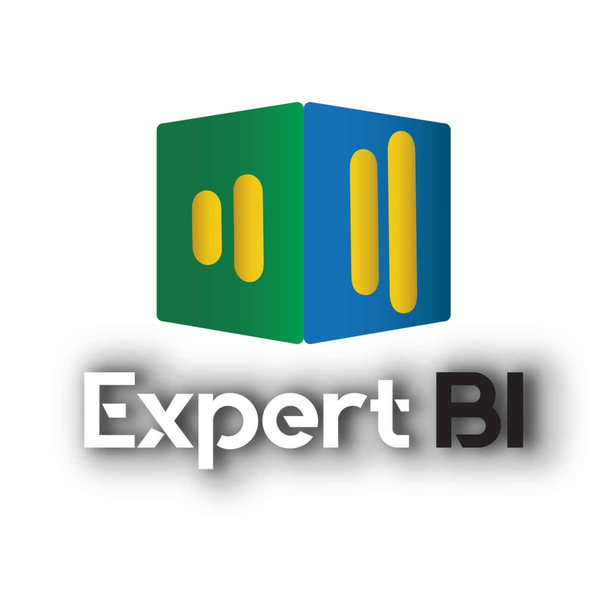 Home [expertbiconsulting.com]