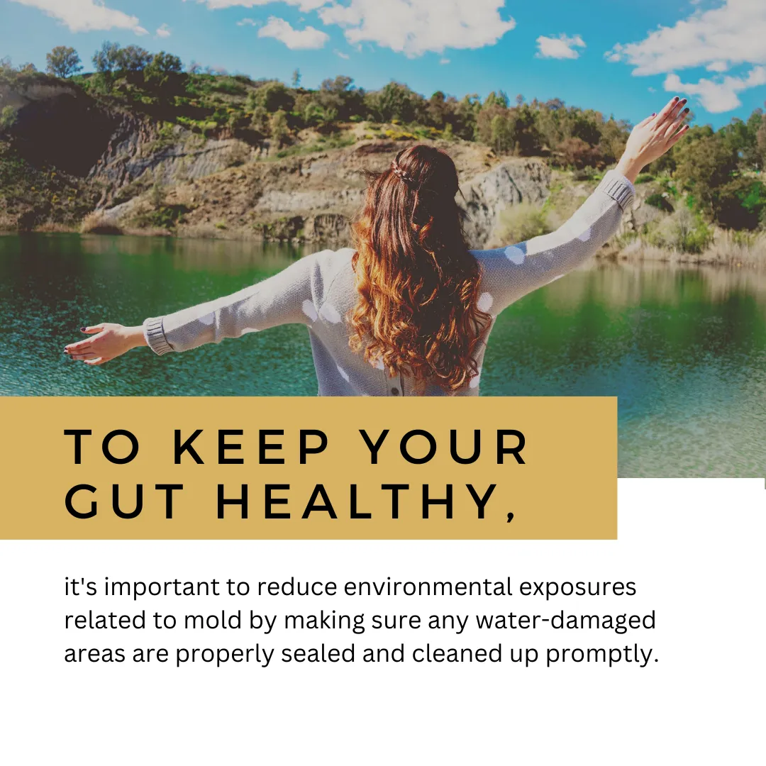 Gut Health: The Key to Your Overall Well-Being