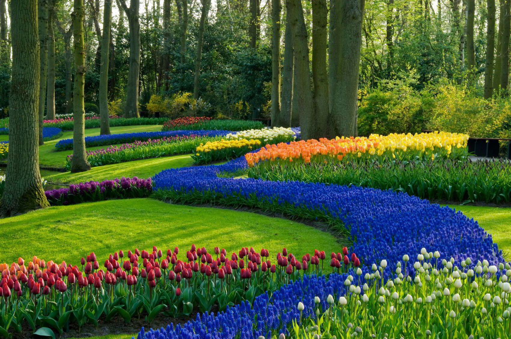 Home [greenplanetlandscaping.outmerce.com]