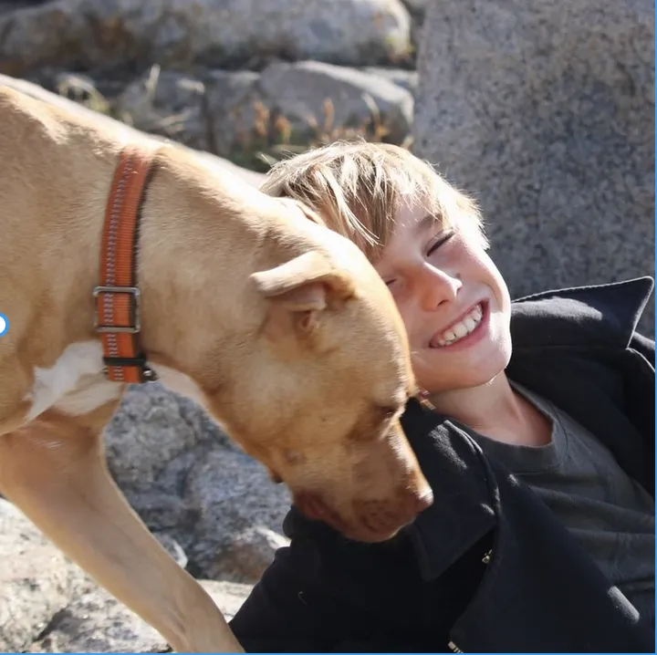 This Time it will be Different