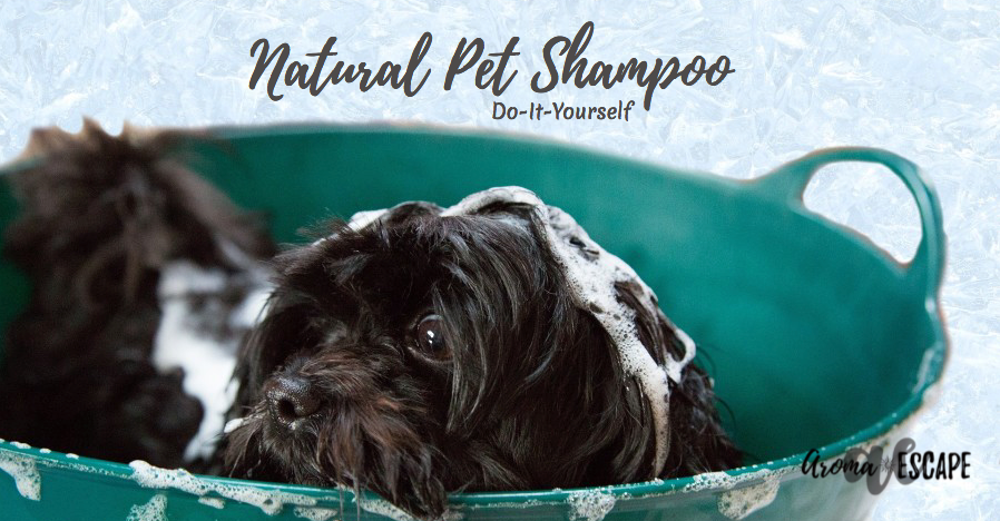 DIY: Pet Shampoo with Essential Oils