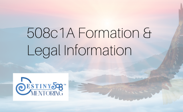 Nonprofit Leadership Training - Destiny 508 Mentoring