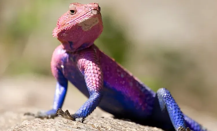 Reframing Imposter Syndrome