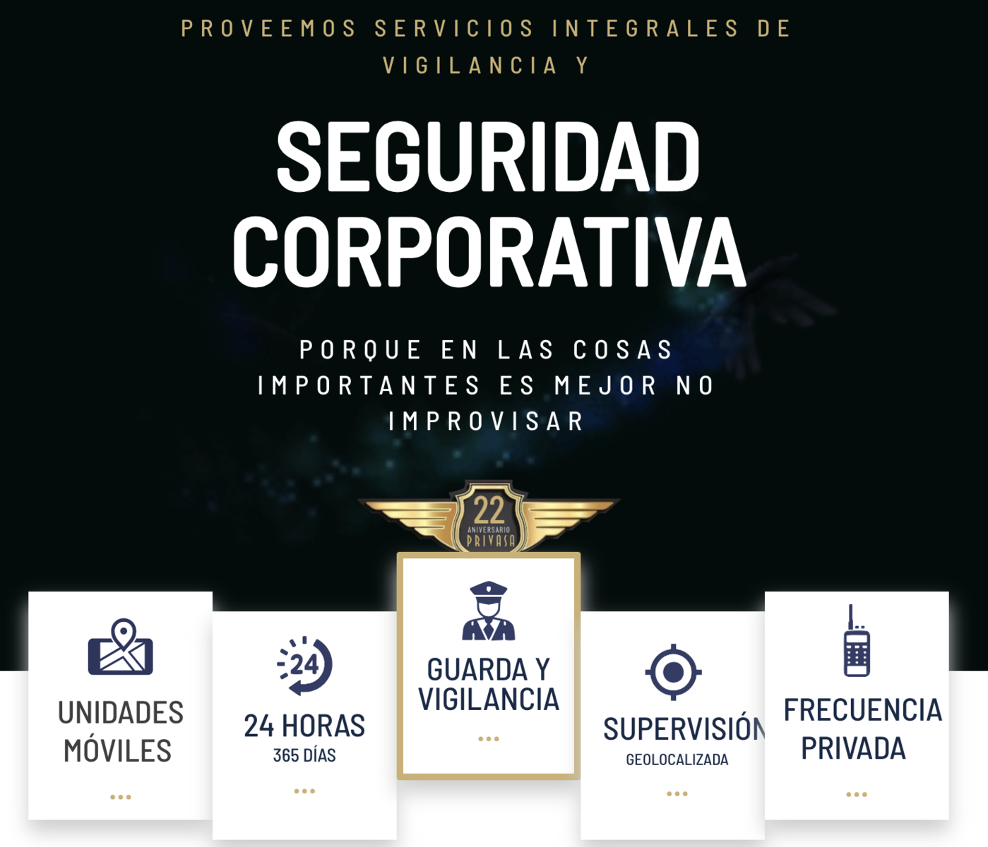 Servicios de Seguridad Privada