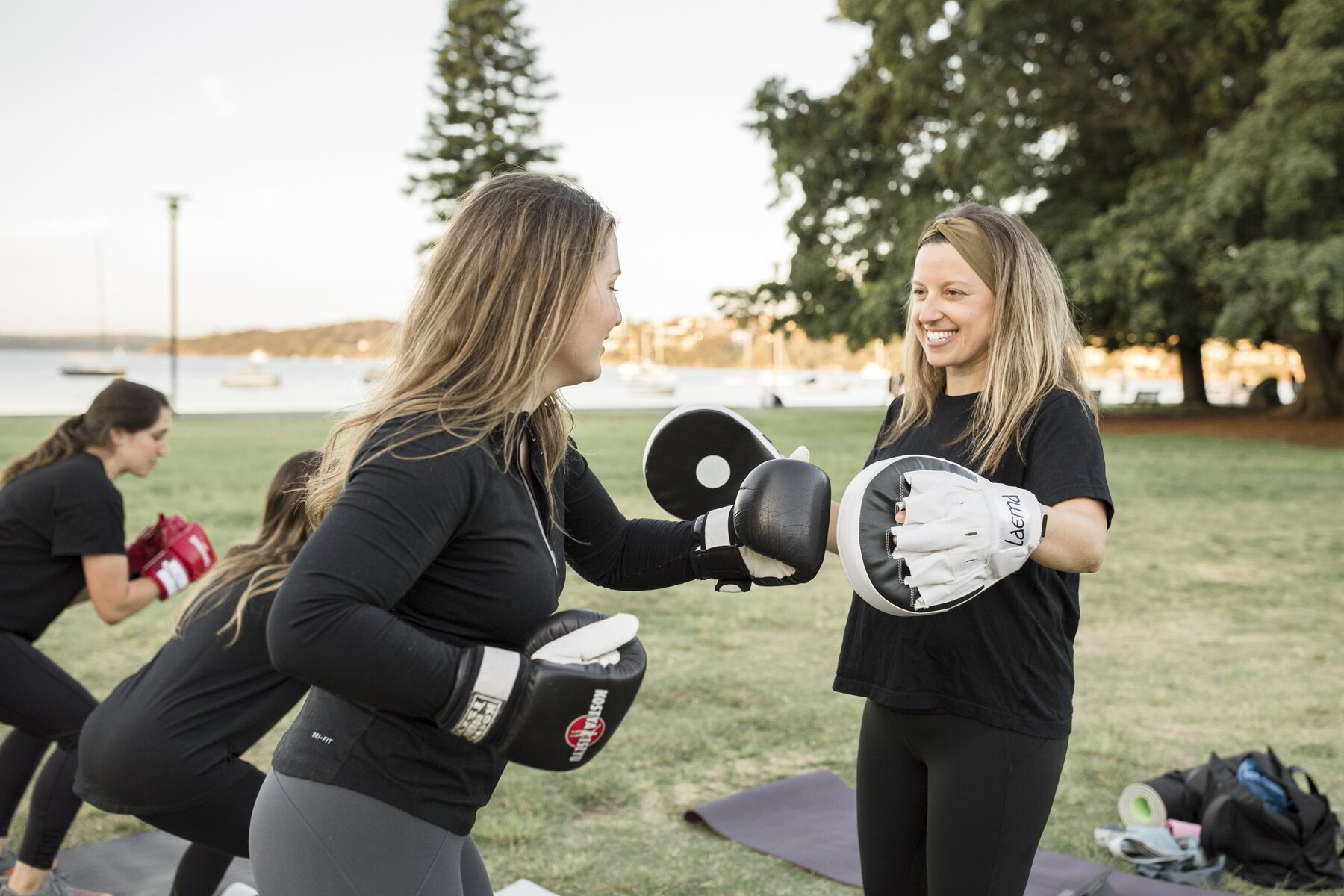 The Energy Reset Program