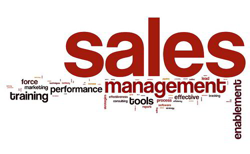 Sales Management: The Cornerstone of High-Performing Teams