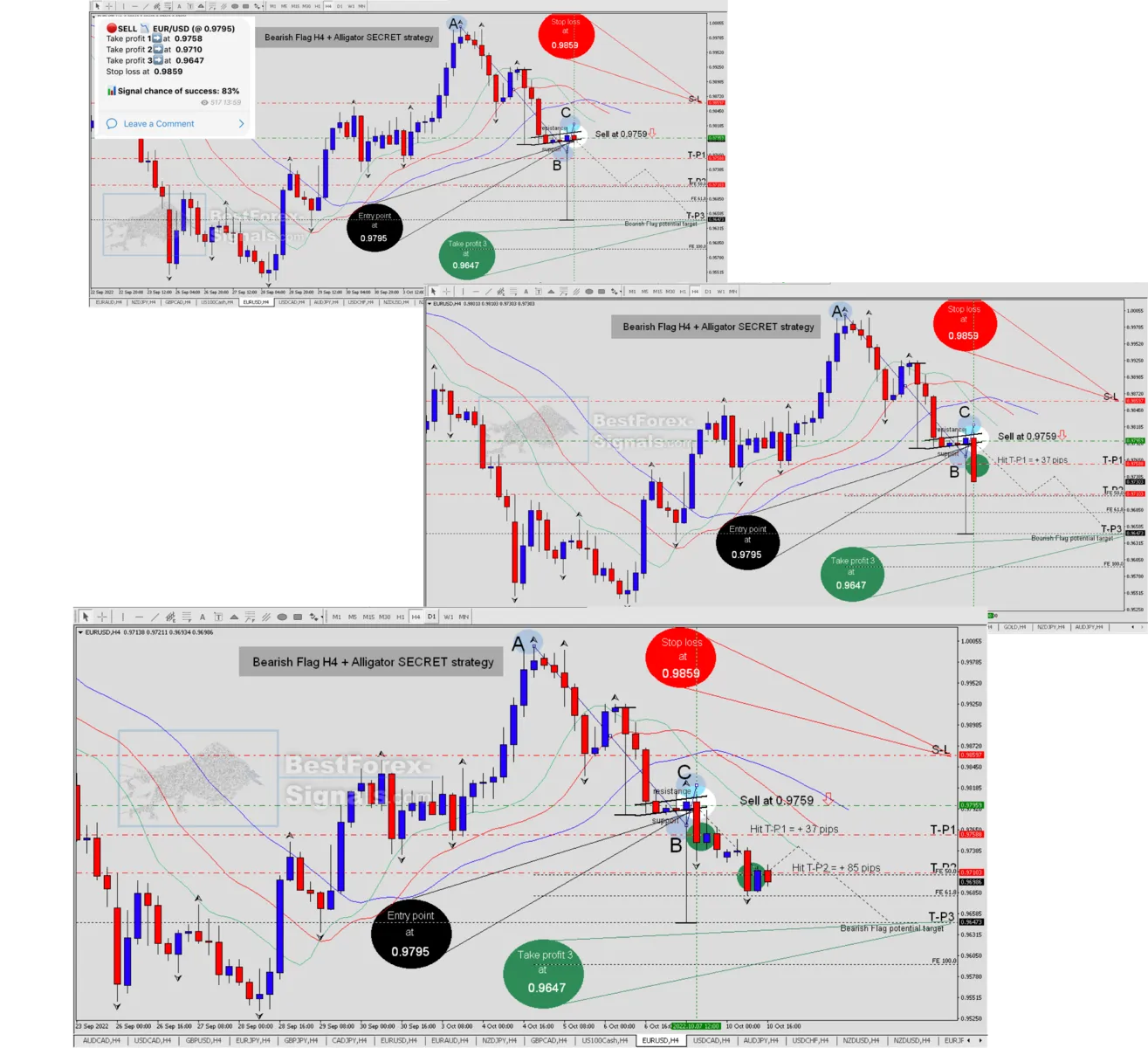 Accurate Forex Signals for Profitable Trading | Best Forex Signals Provider