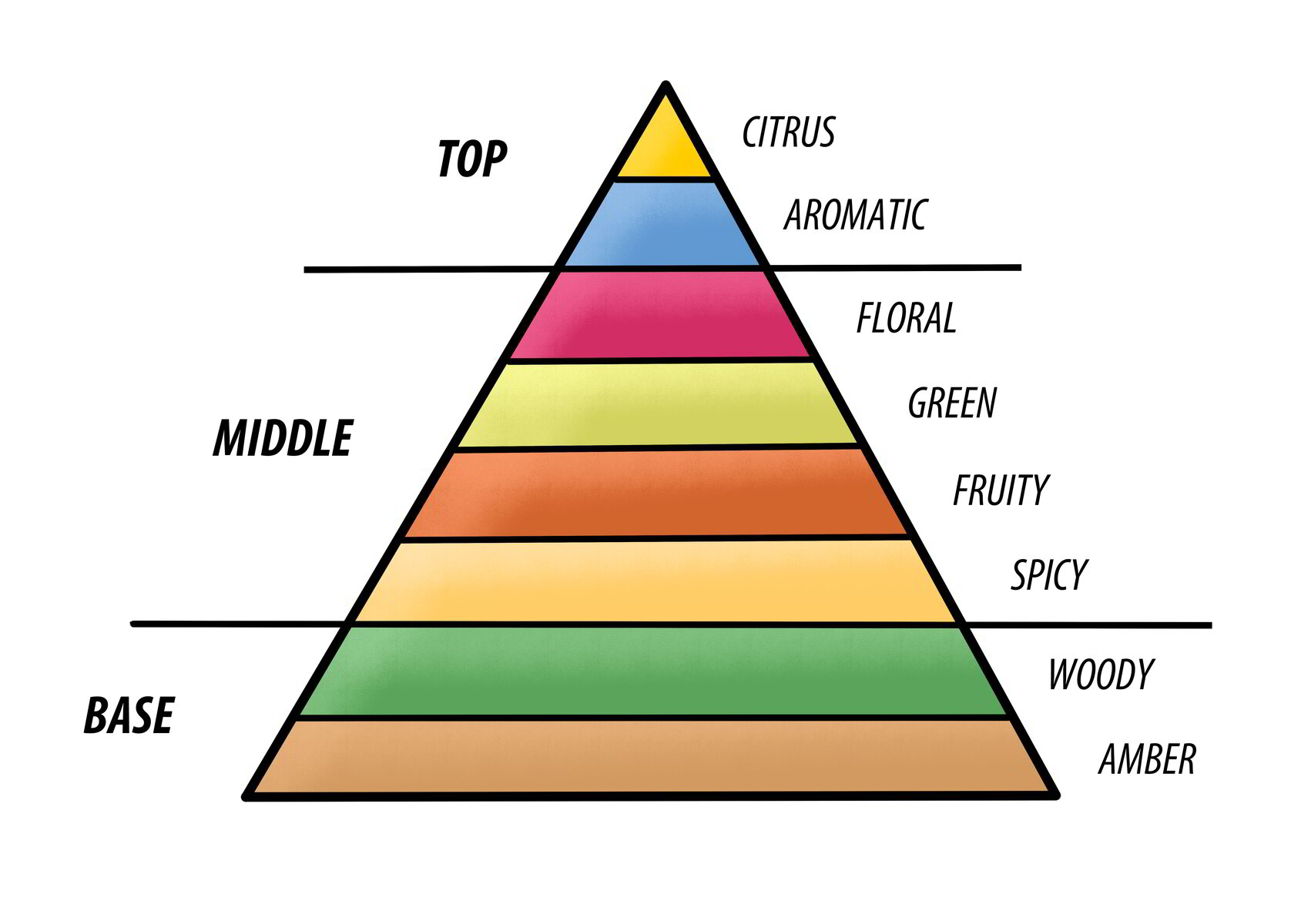 Unveiling the Symphony of Fragrance: Exploring Perfume Notes