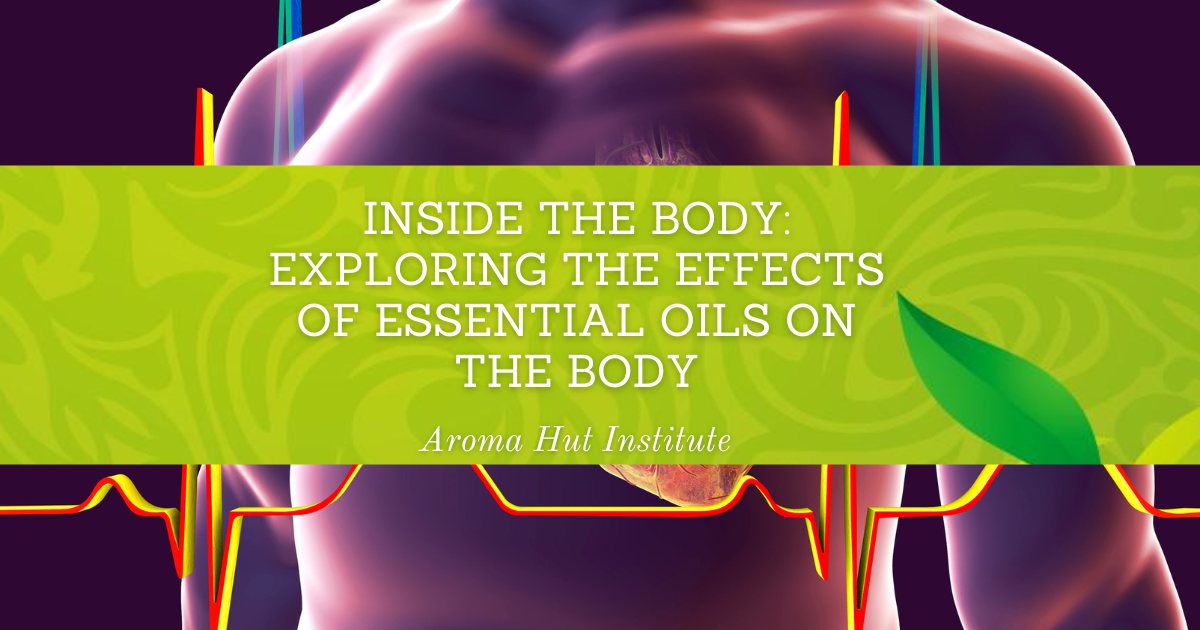 Inside the Body: Exploring the Effects of Essential Oils on the Body