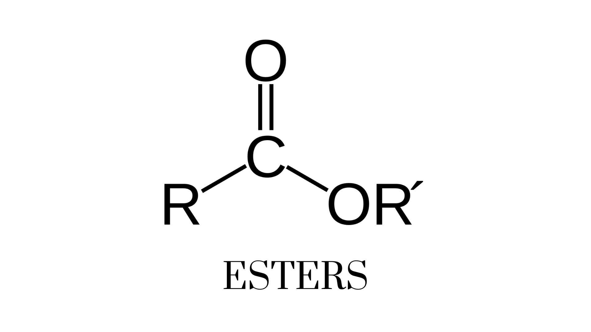 Essential Oil Datasheets & Monographs