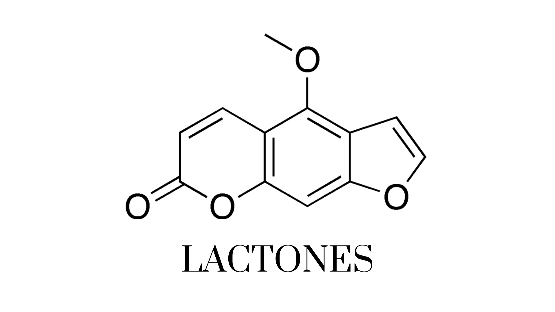 Essential Oil Datasheets & Monographs