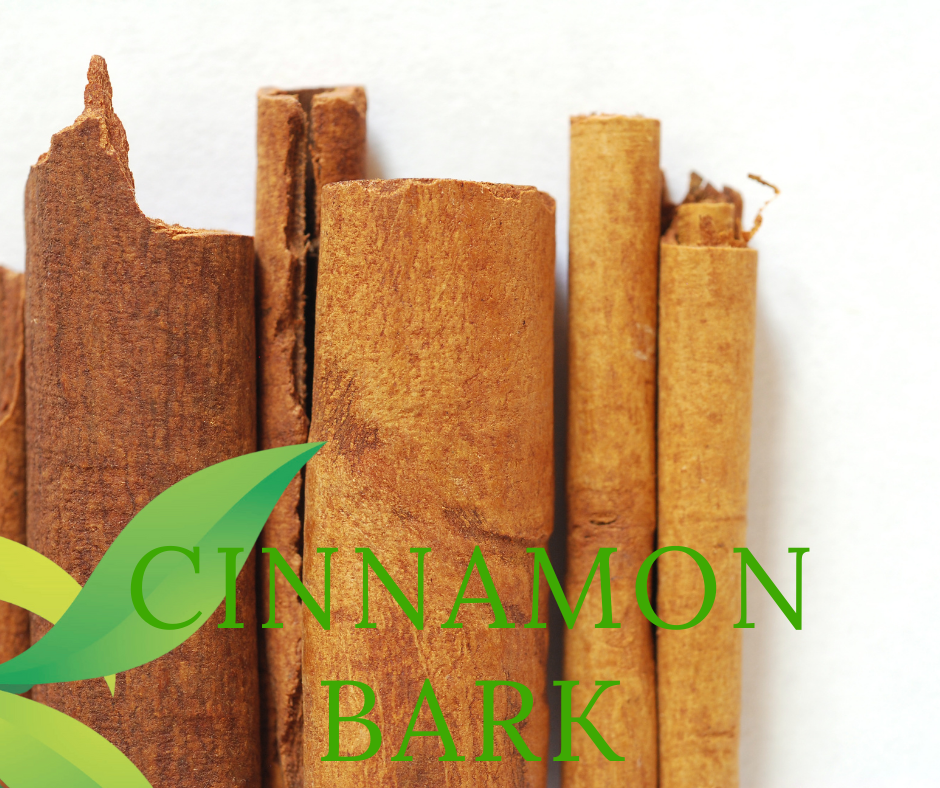 Cinnamon Bark Tree