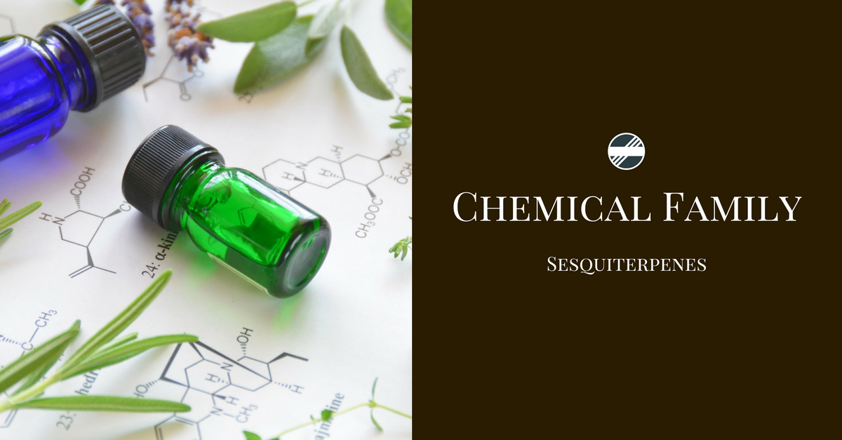 Chemical Family: Sesquiterpenes | Aroma Hut Institute