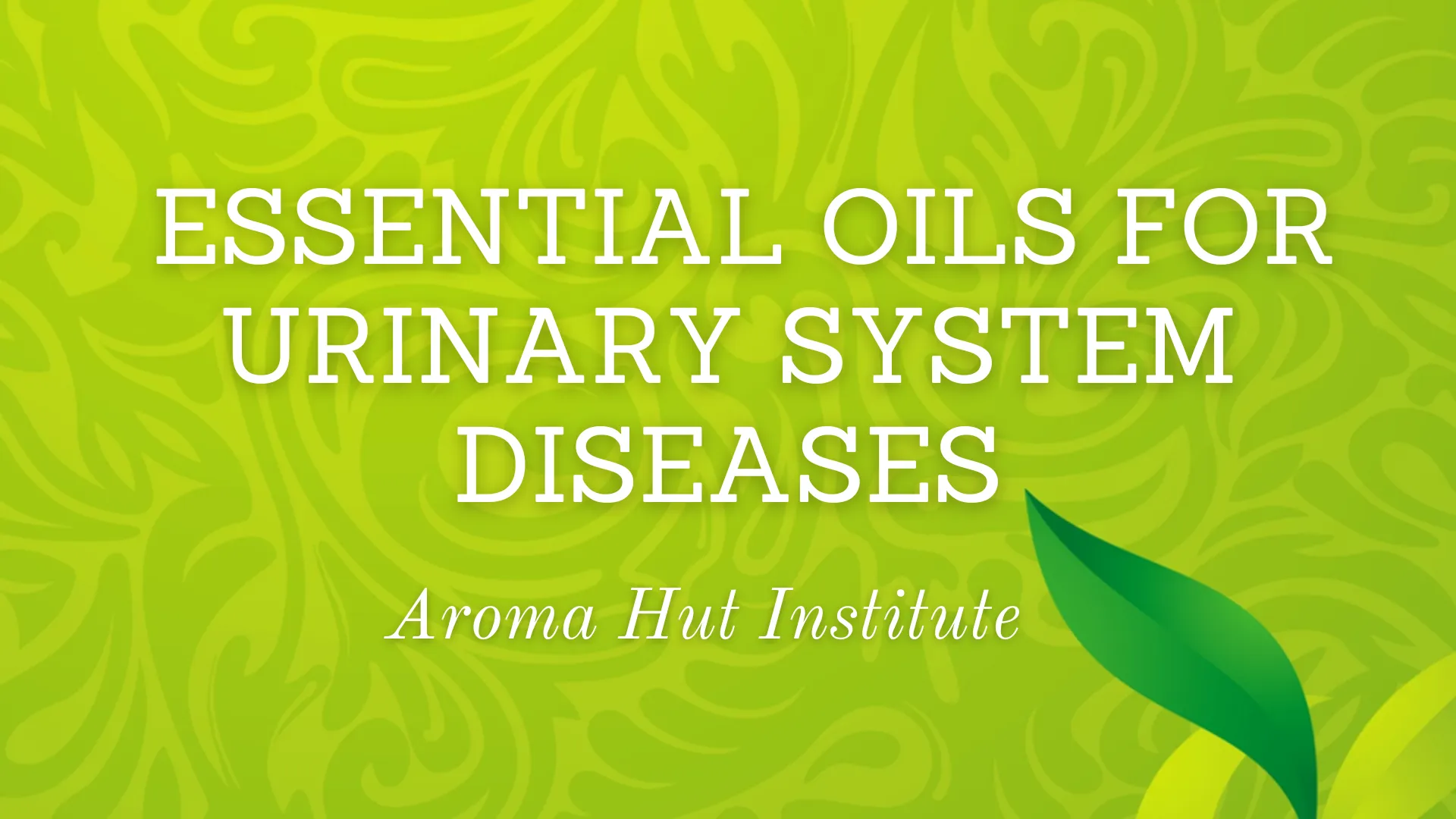 Essential Oils for the Urinary System | Aromatherapy Certification ...