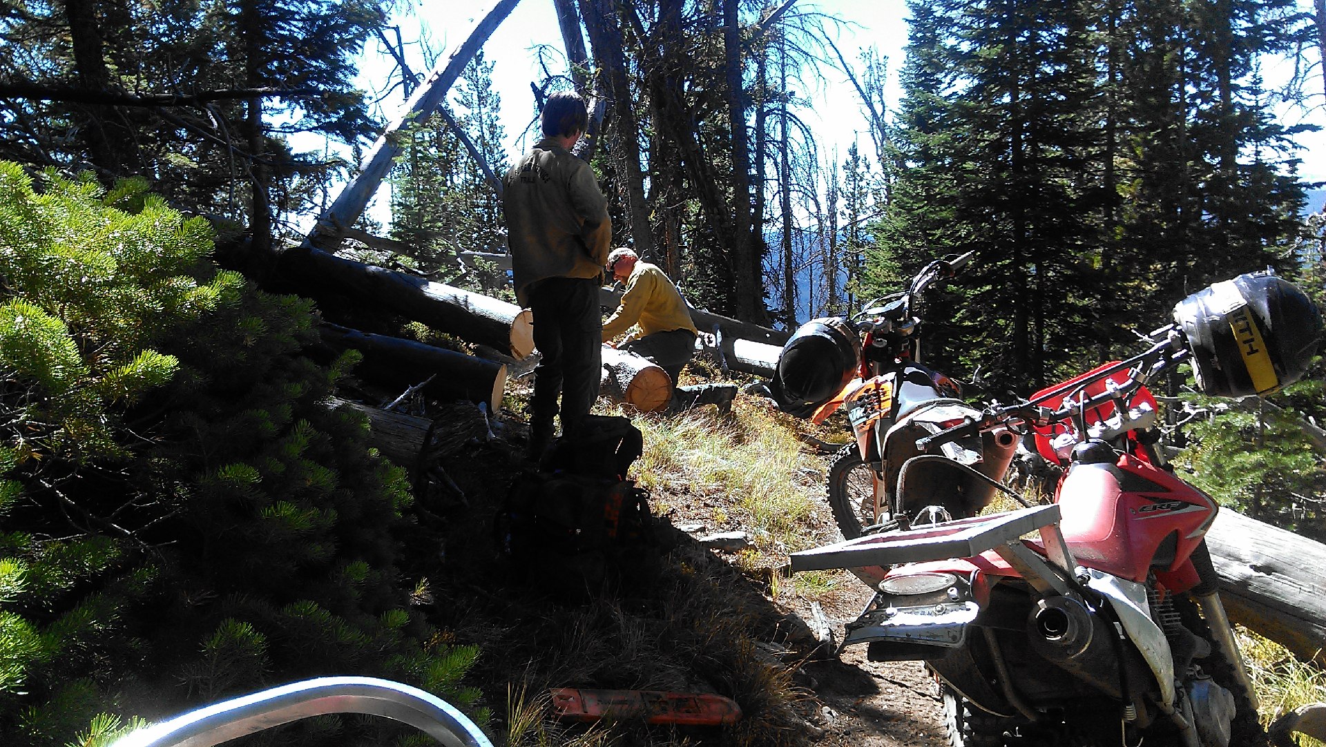 New Montana Summer Motorized Trail Pass