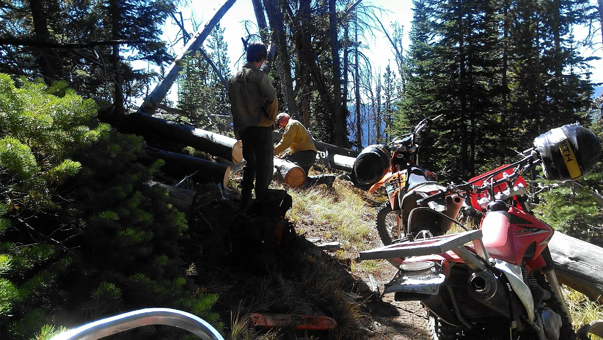 New Montana Summer Motorized Trail Pass