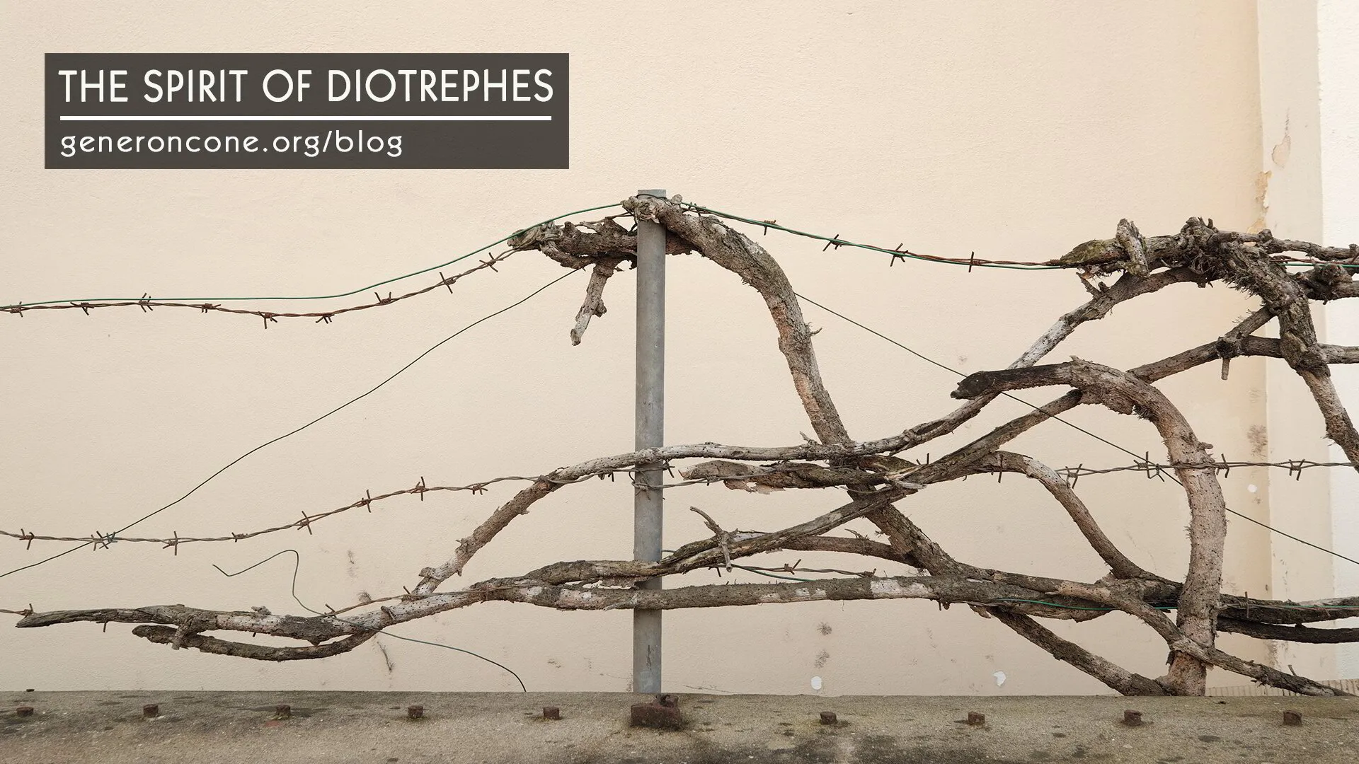 The Spirit of Diotrephes