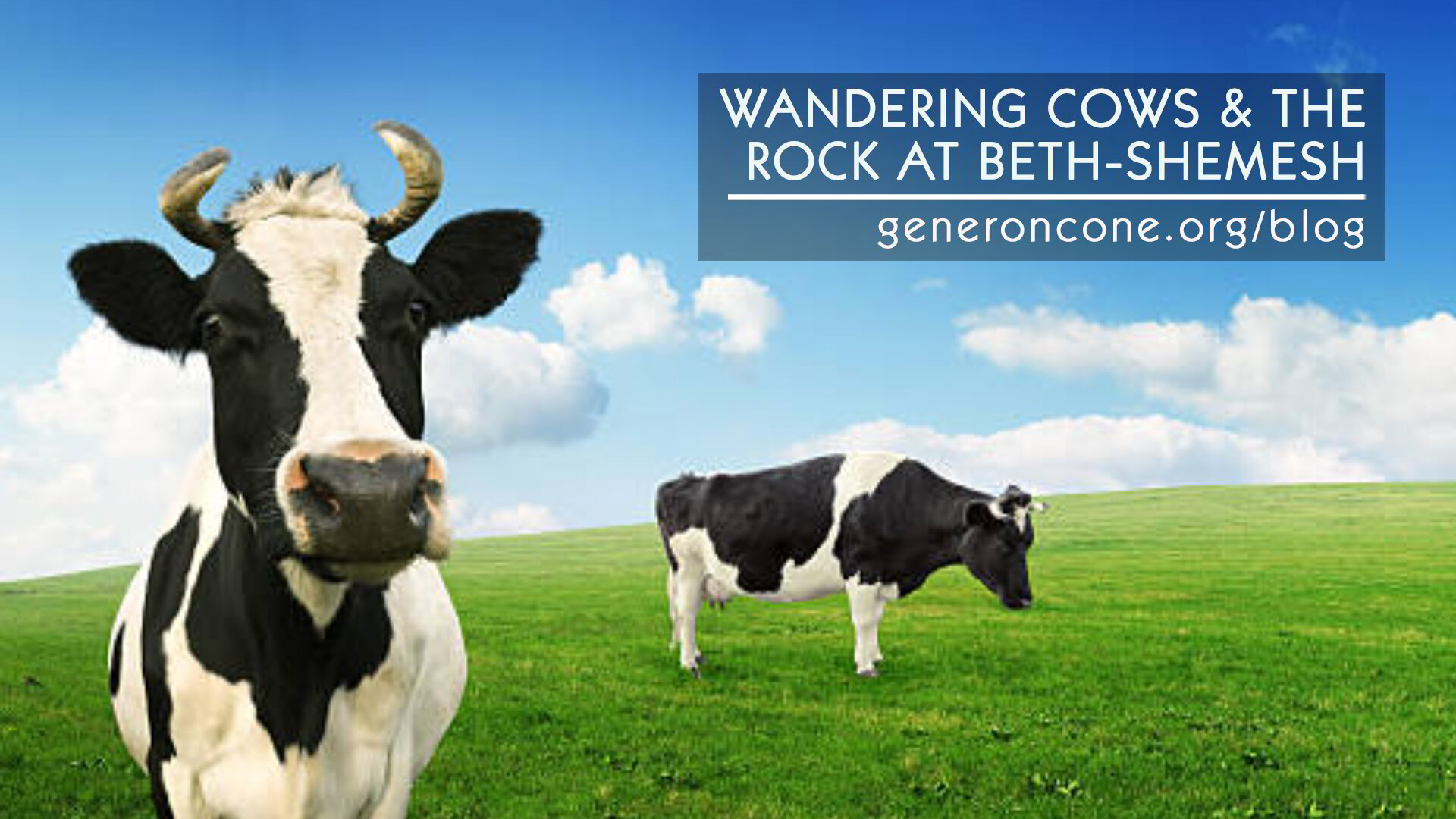 Wandering Cows & the Rock at Beth-Shemesh