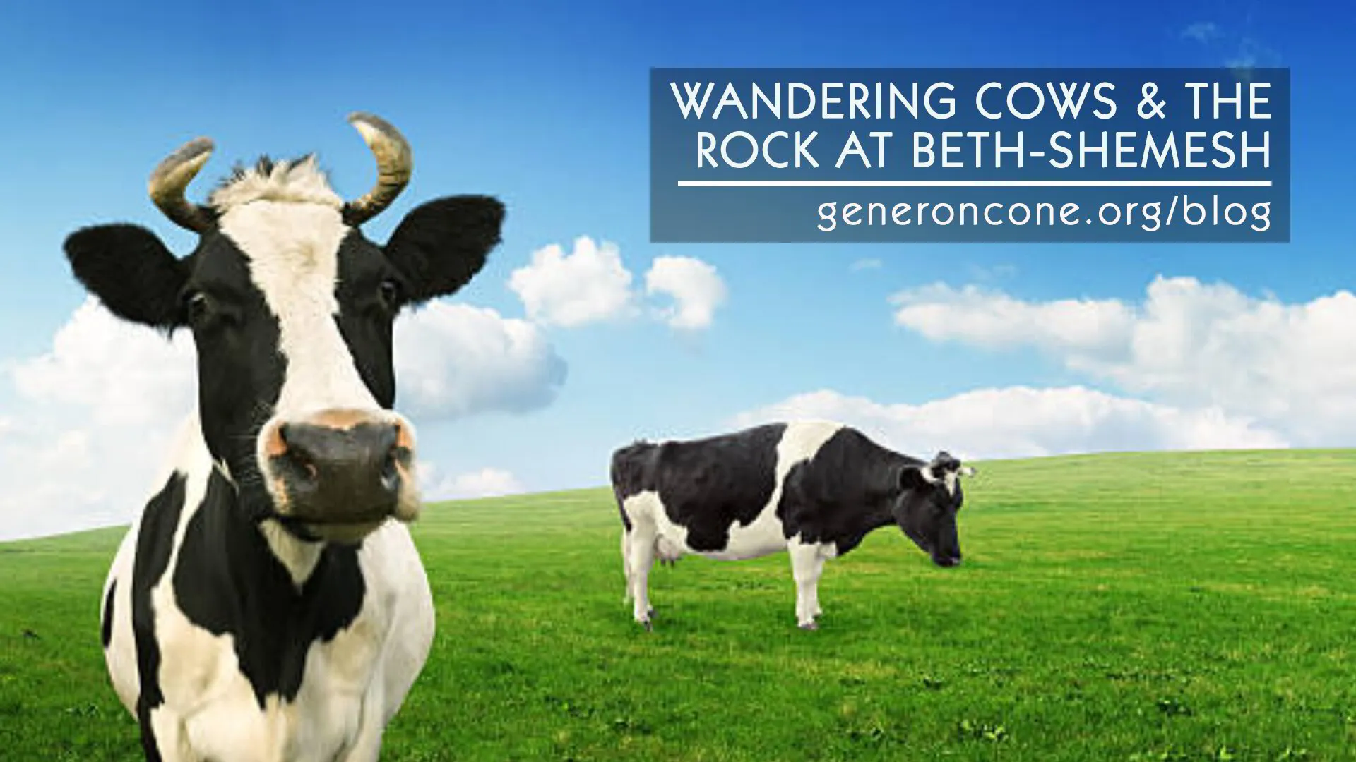 Wandering Cows & the Rock at Beth-Shemesh