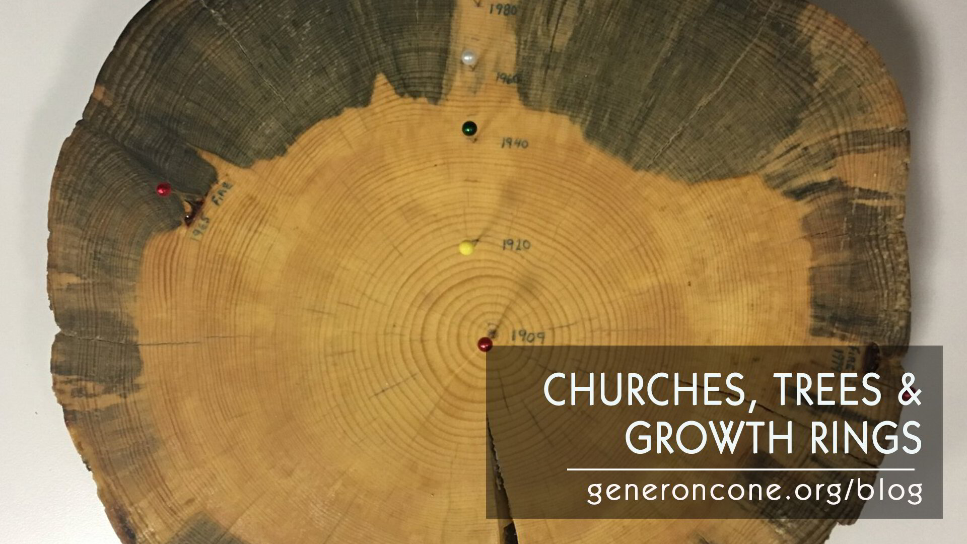 Churches, Trees & Growth Rings